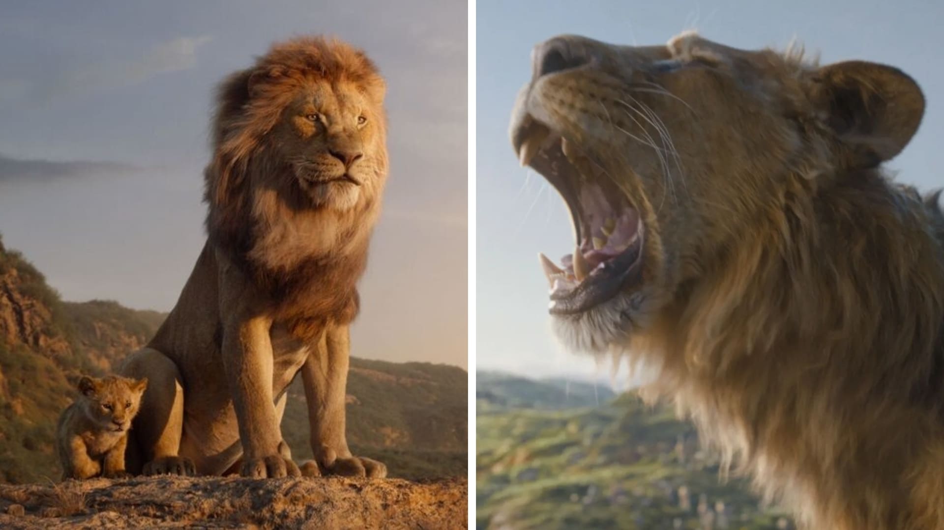 ¿Live-action o animada? El director de Mufasa ya reveló cómo define su ...