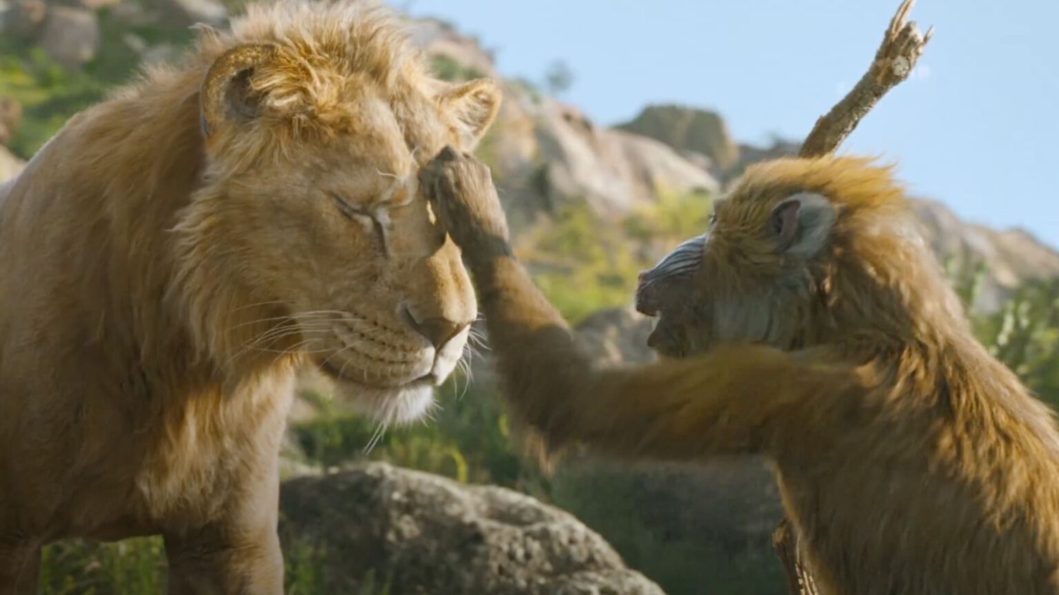 El rey león: Esta es la cronología de la saga - Paloma & Nacho