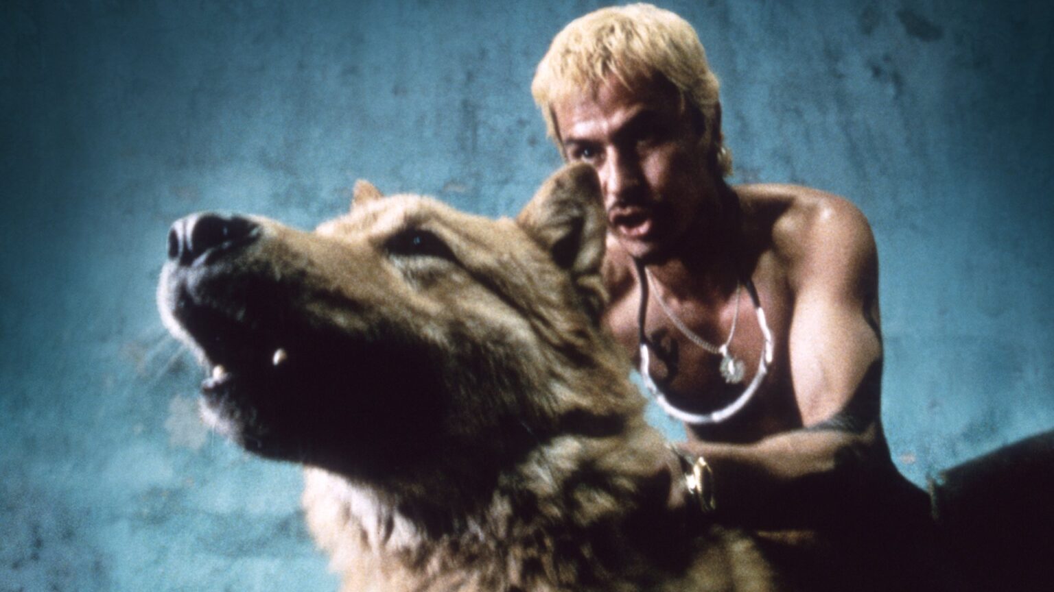¿Cómo le fue a Tron: Ares y a Amores Perros en su 25 aniversario ...