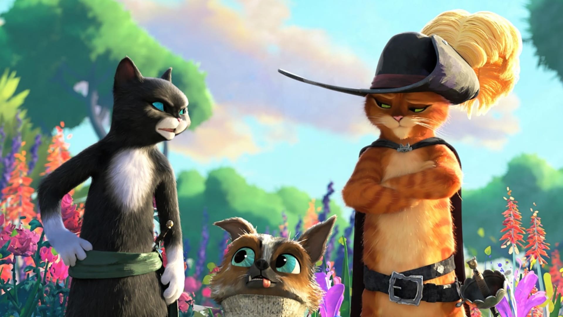 ¿Es oficial? Primeros detalles de El Gato con Botas 3 - Paloma & Nacho